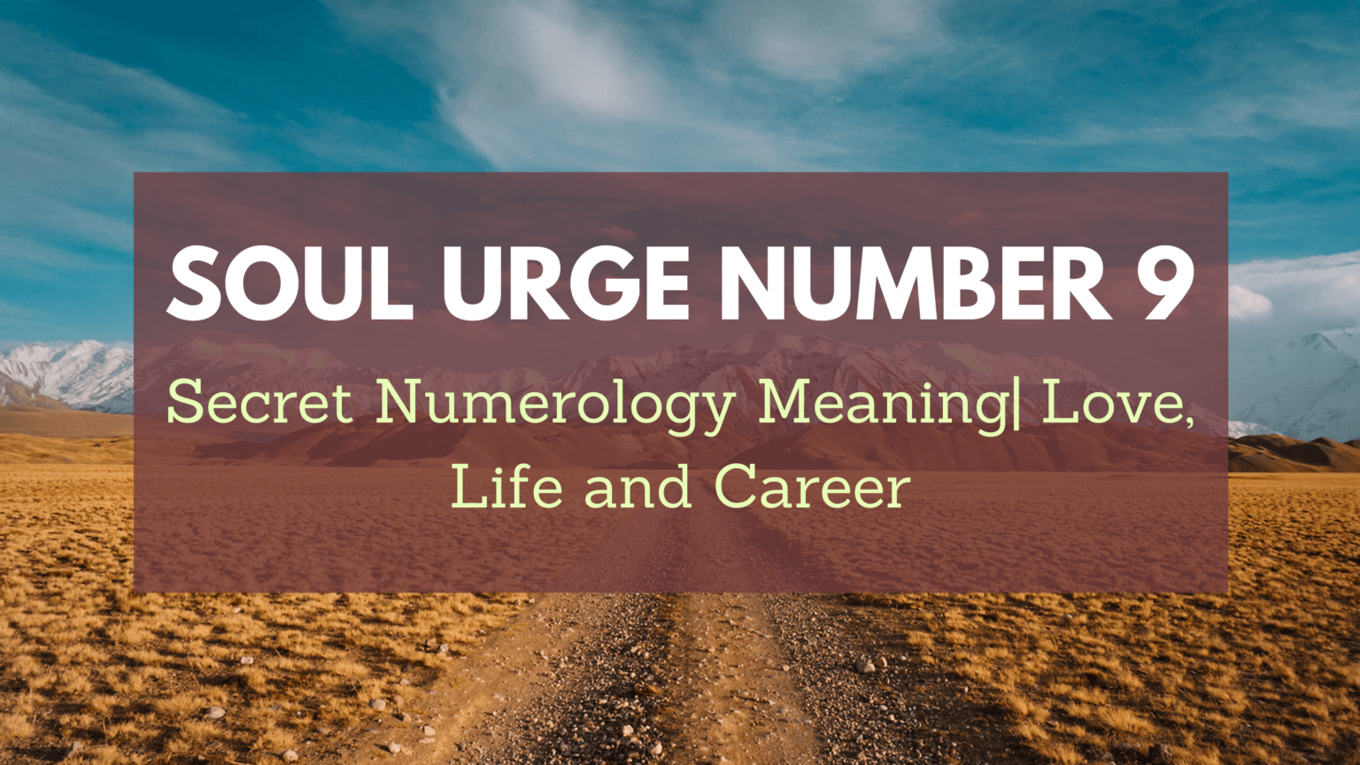Soul Urge Number 9 Secret Numerology Meaning Love Life And Career